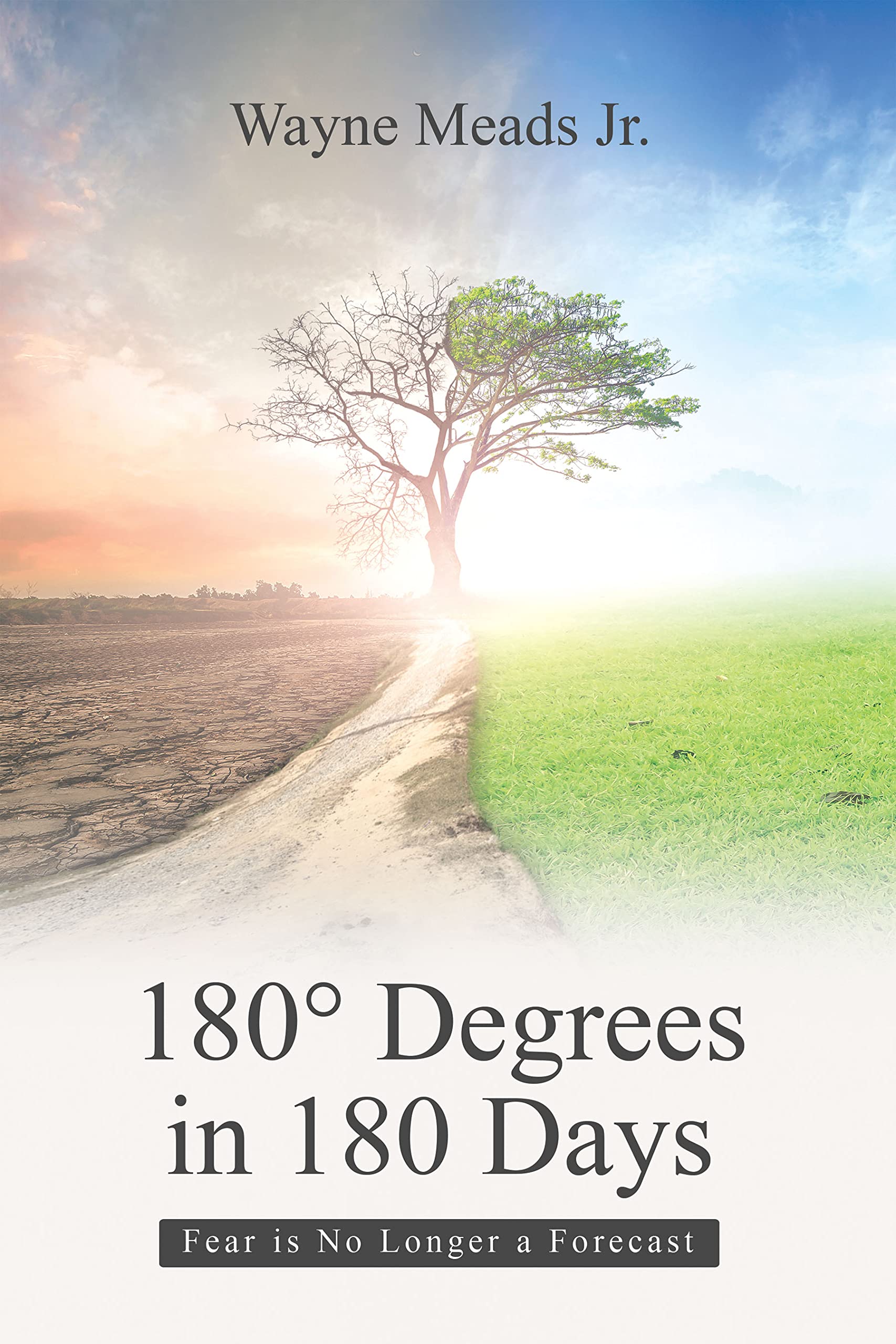 180° Degrees in 180 Days: Fear Is No Longer a Forecast by Wayne Meads ...