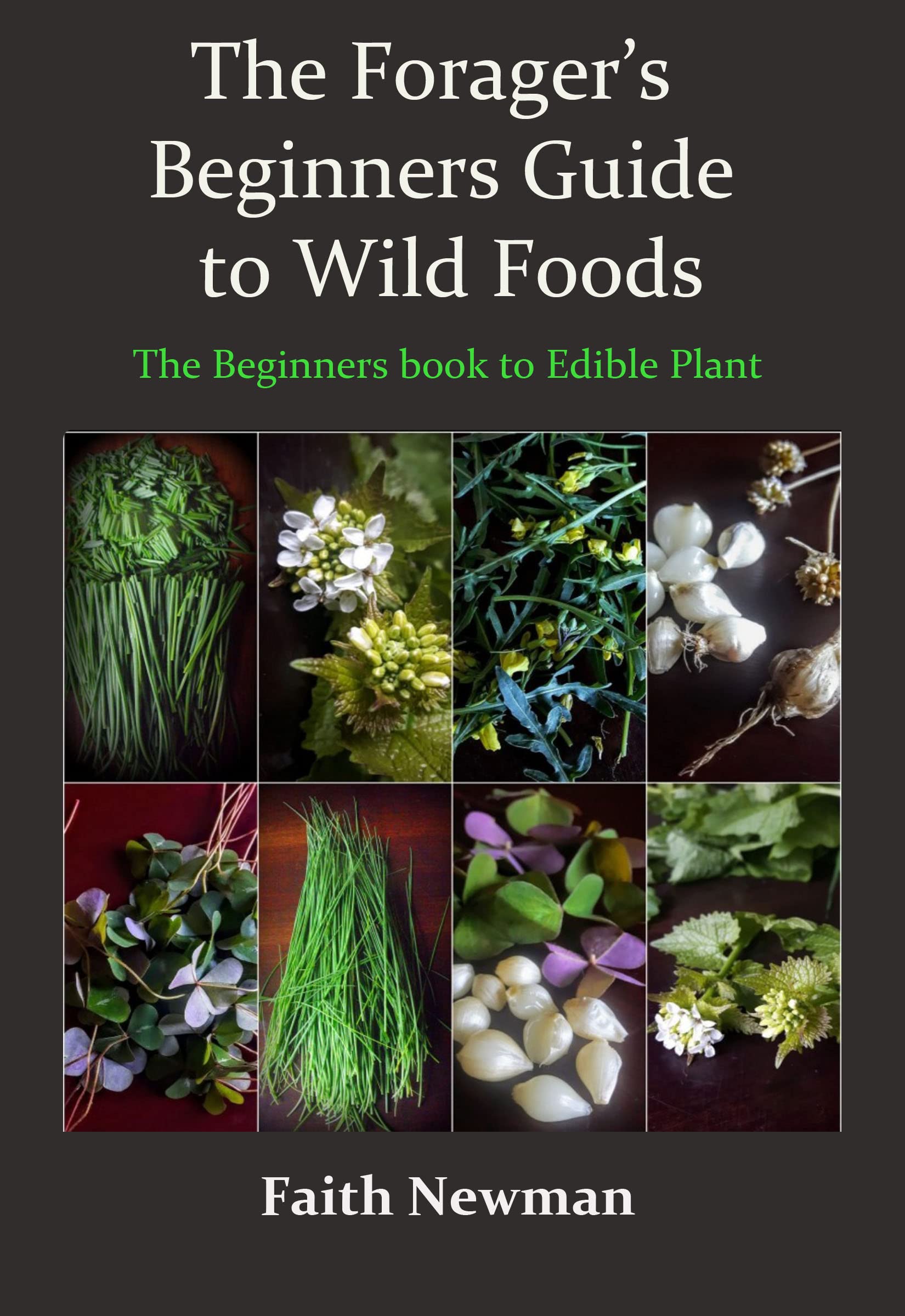 The Forager’s Beginners Guide to Wild Foods: The Beginners book to ...