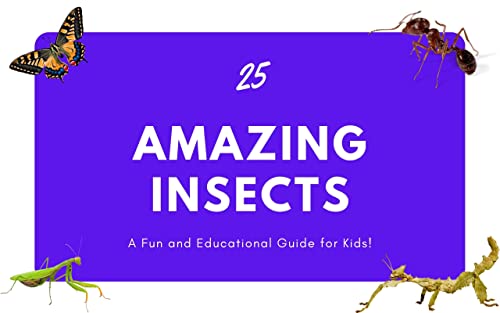 Amazing Insects: A Fun and Educational Guide for Kids!: Discover the ...