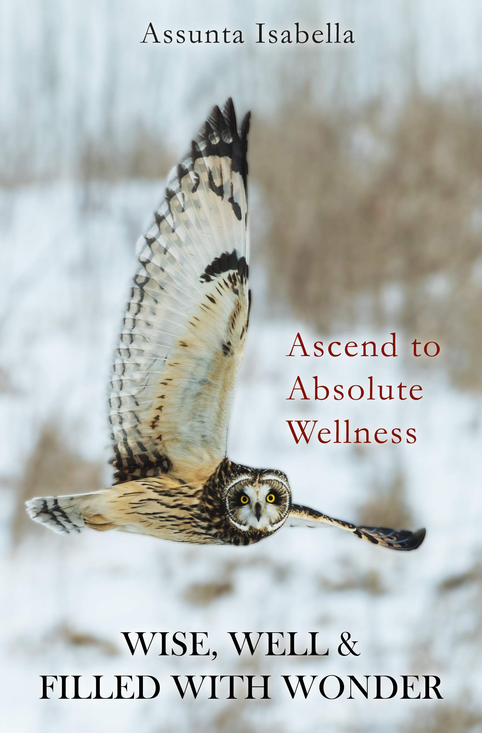 WISE, WELL & FILLED WITH WONDER: Ascend to Absolute Wellness by Assunta Isabella | Goodreads