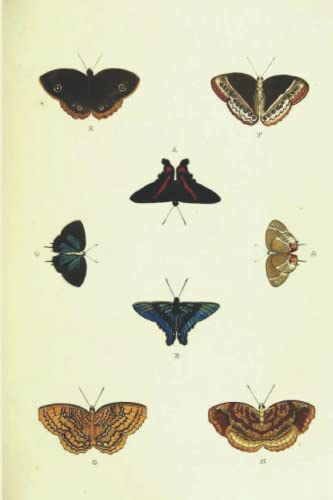 Butterfly Field Guide Blank Notebook by Elsie May | Goodreads