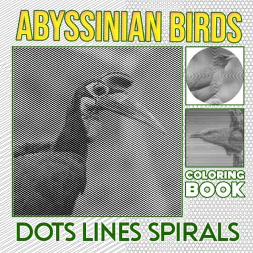 Abyssinian Birds Dots Lines Spirals Coloring Book: Senegal Roller ...