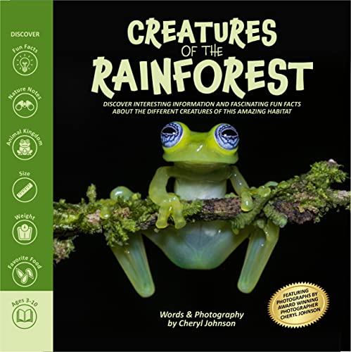 Amazing Creatures of the Rainforest: Rainforest picture book for kids ...