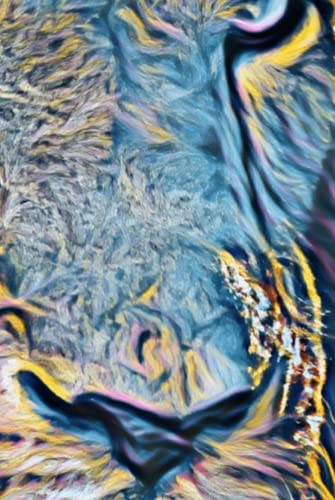 Lion Head Notebook: Colourful Lion Head Notebook, Lion Head Portrait ...