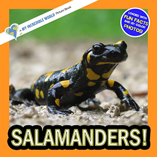 Salamanders!: A My Incredible World Picture Book for Children by Hope ...