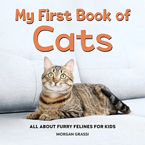 My First Book of Cats: All About Furry Felines for Kids by Morgan ...