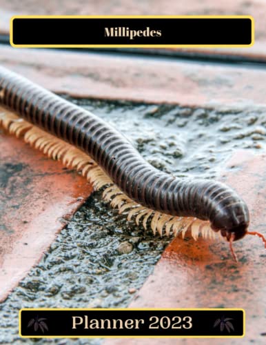 Millipedes Planner 2023 by Layla Publishing | Goodreads