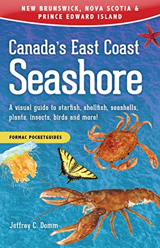 Canada's East Coast Seashore: A visual guide to starfish, shellfish ...