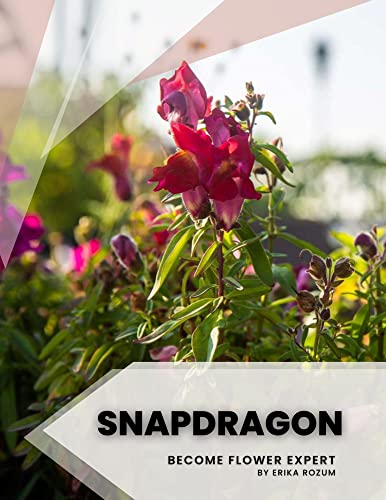 Snapdragon: Become flower expert by Erika Rozum | Goodreads