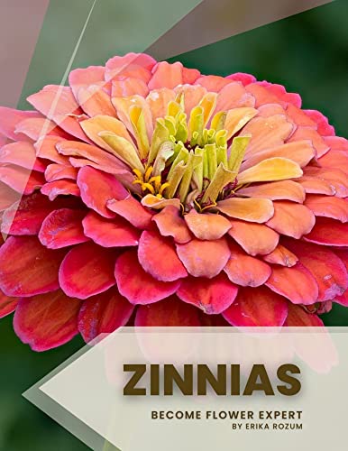Zinnias: Become flower expert by Erika Rozum | Goodreads