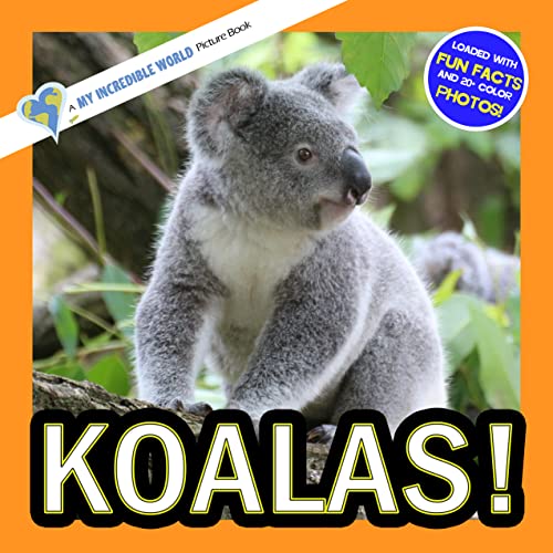 Koalas!: A My Incredible World Picture Book for Children by Hope Aicher ...