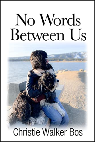 No Words Between Us by Christie Walker Bos | Goodreads