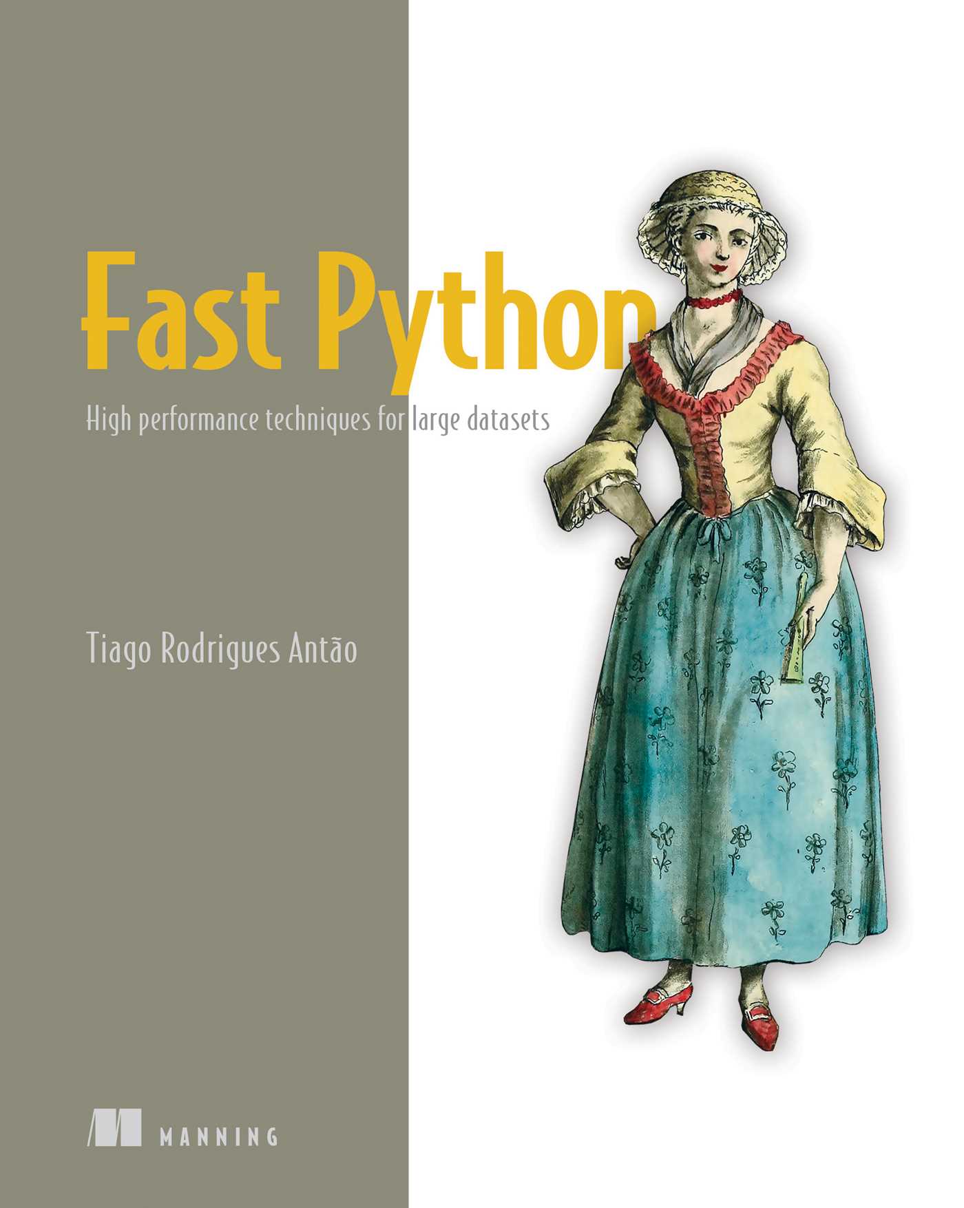 Fast Python High Performance Techniques For Large Datasets By Tiago 