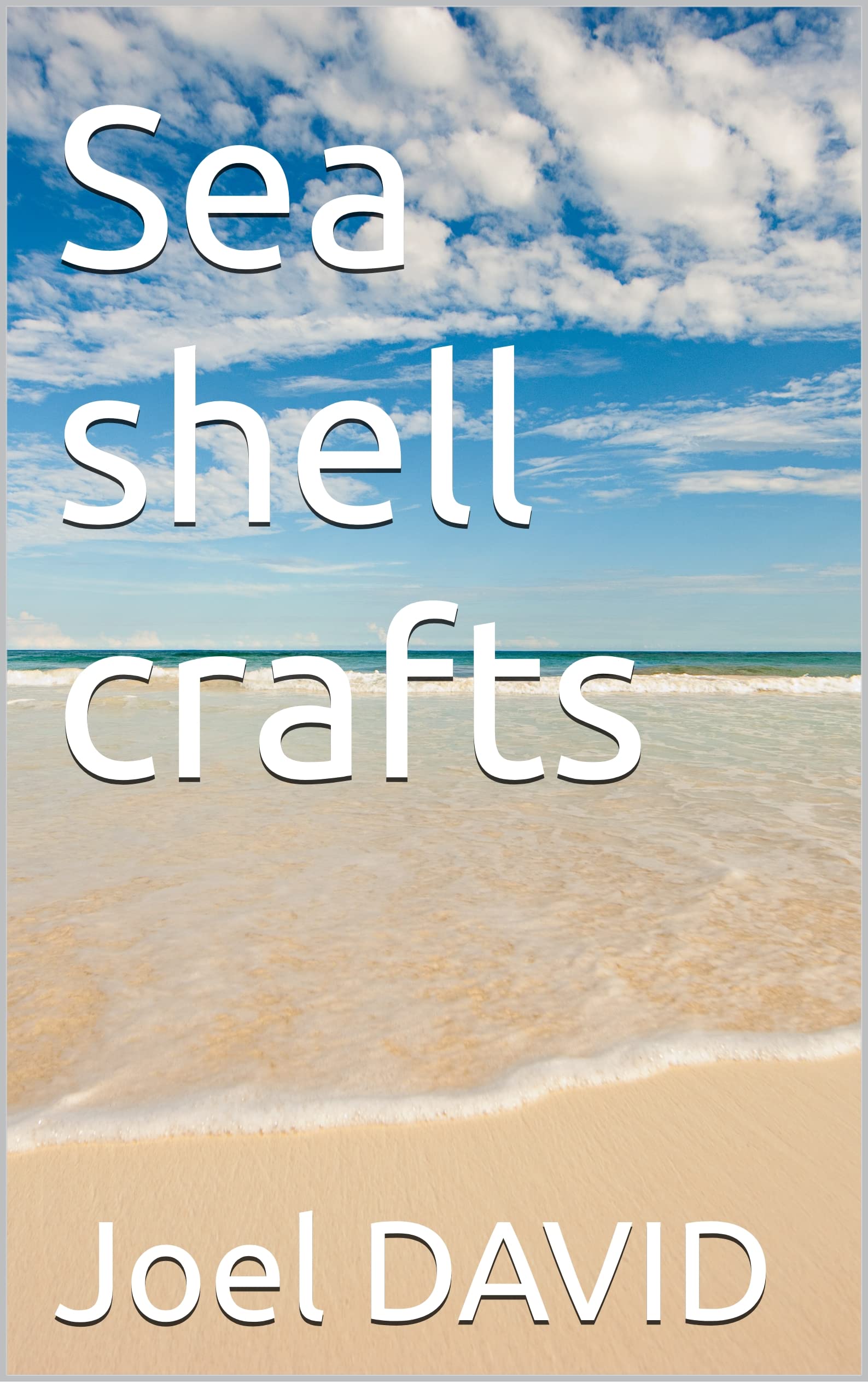 Sea shell crafts by Joel David | Goodreads