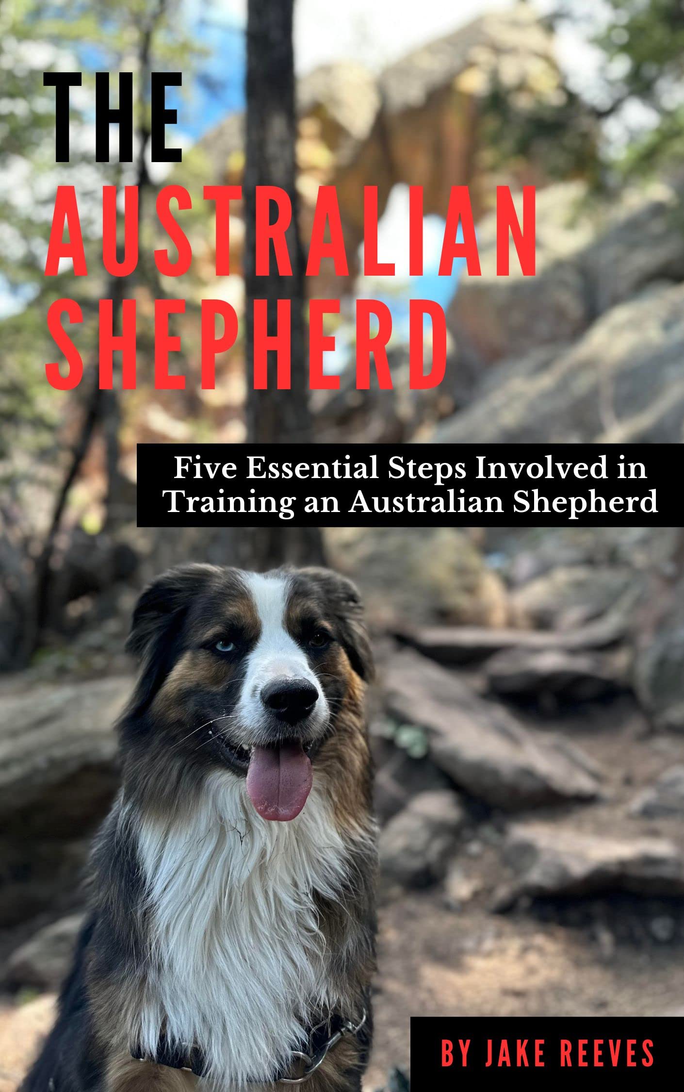 The Australian Shepherd: Five Essential Steps Involved in Training an ...