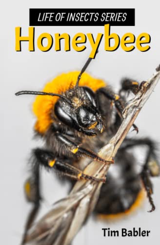 Life of Insects - Honey Bee by Tim Babler | Goodreads