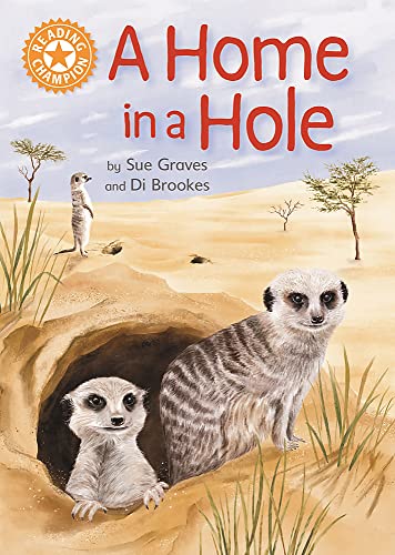 Reading Champion: A Home in a Hole: Independent Reading Orange 6 Non ...