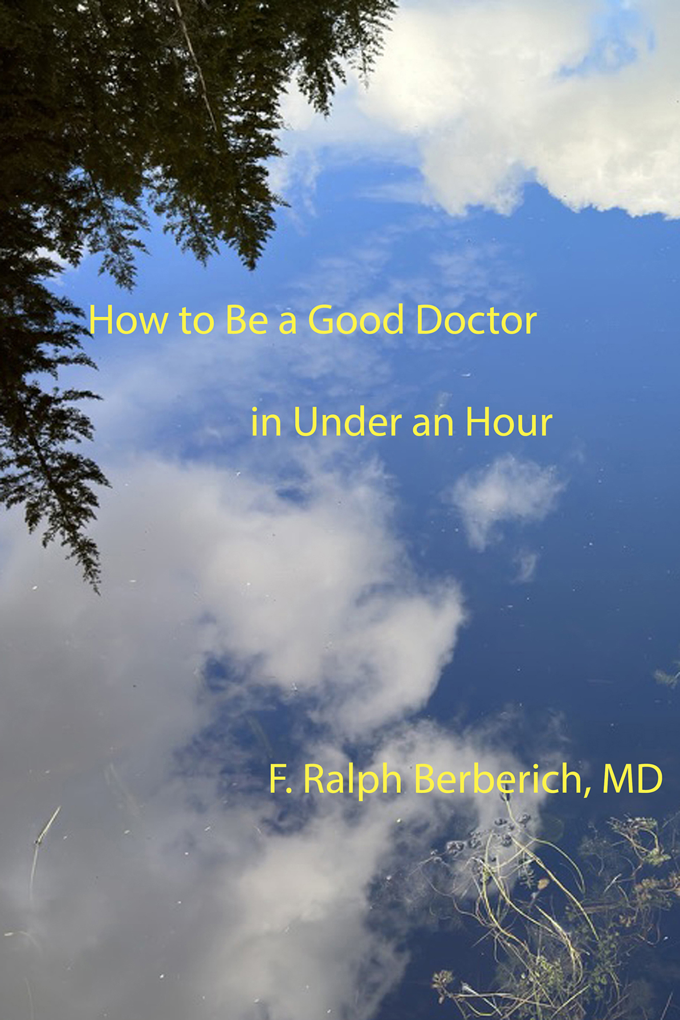 How to Be a Good Doctor in Under an Hour by F Ralph Berberich | Goodreads