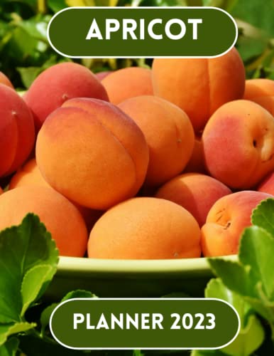 Apricot Planner 2023 by Jessica Planner | Goodreads