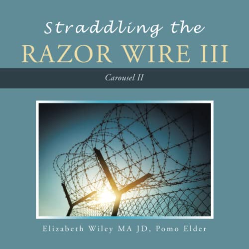 Straddling the RAZOR WIRE III: Carousel II by Elizabeth Wiley MA JD ...