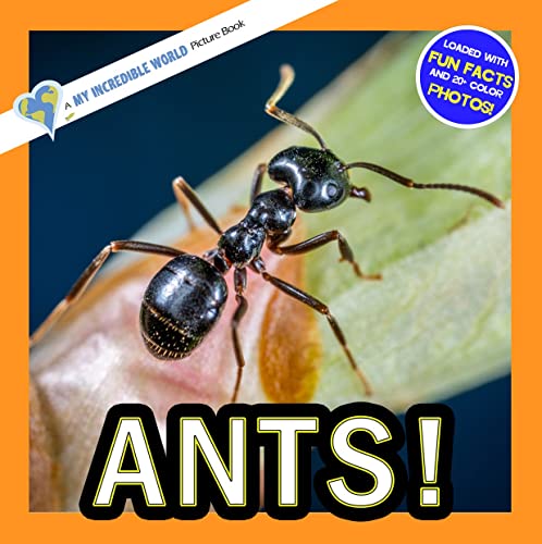 Ants!: A My Incredible World Picture Book for Children by My Incredible ...