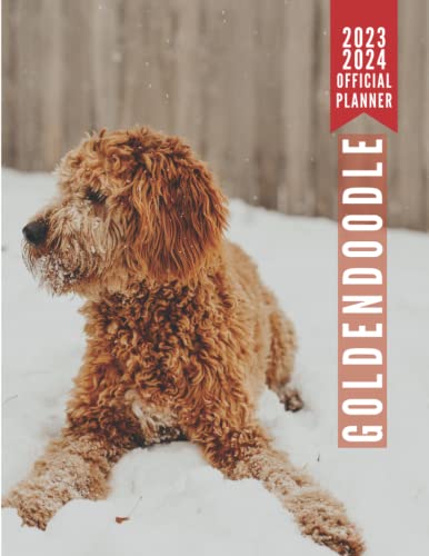 Goldendoodle 2023 2024 planner: Goldendoodle dog Two Years monthly ...