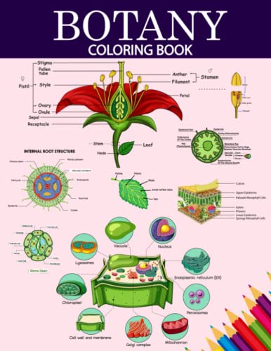 Botany Coloring Book: Botany Anatomy Coloring Pages Including Details ...