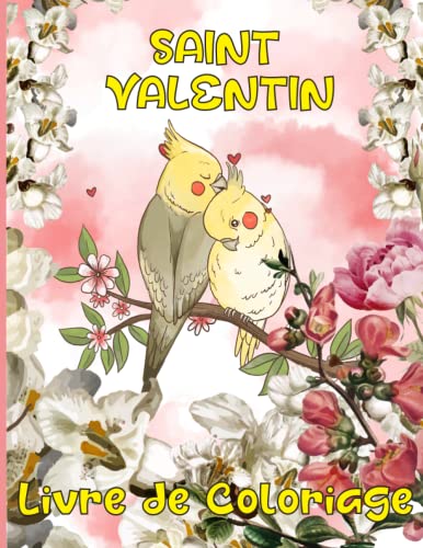SAINT VALENTIN LIVRE DE COLORIAGE POUR ENFANTS: livre de coloriage ...