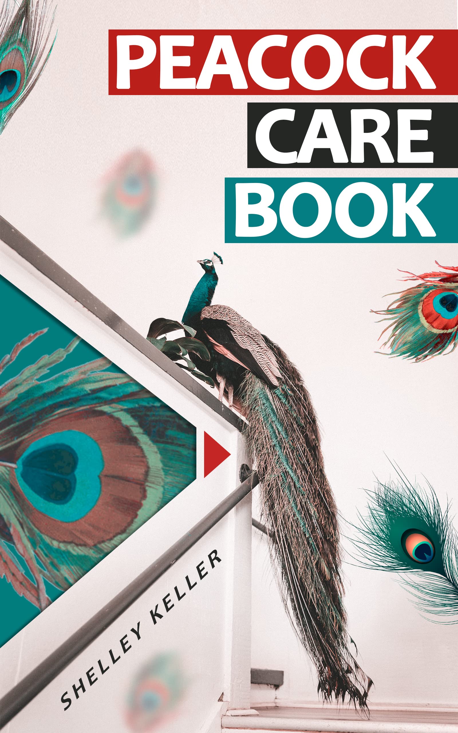 PEACOCK CARE BOOK by Shelley Keller | Goodreads