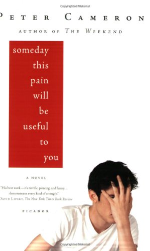 Someday This Pain Will Be Useful to You: A Novel by Peter Cameron | Goodreads