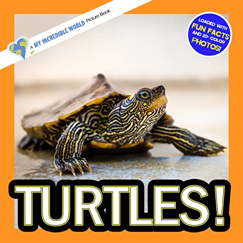 Turtles!: A My Incredible World Picture Book for Children by My ...
