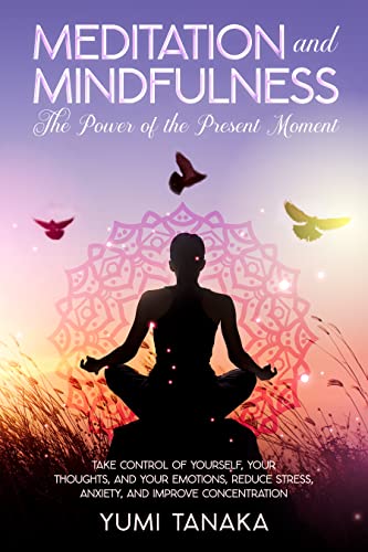 MEDITATION AND MINDFULNESS: The Power Of The Present Moment: Take ...