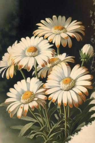 Vintage White Daisy Notebook: Vintage White Daisy Gifts, Journal ...