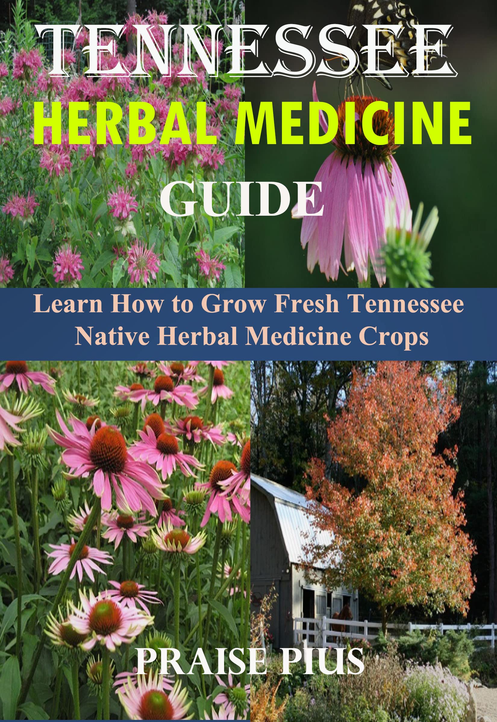 Tennessee Herbal Medicine Guide: Learn How to Grow Fresh Tennessee ...