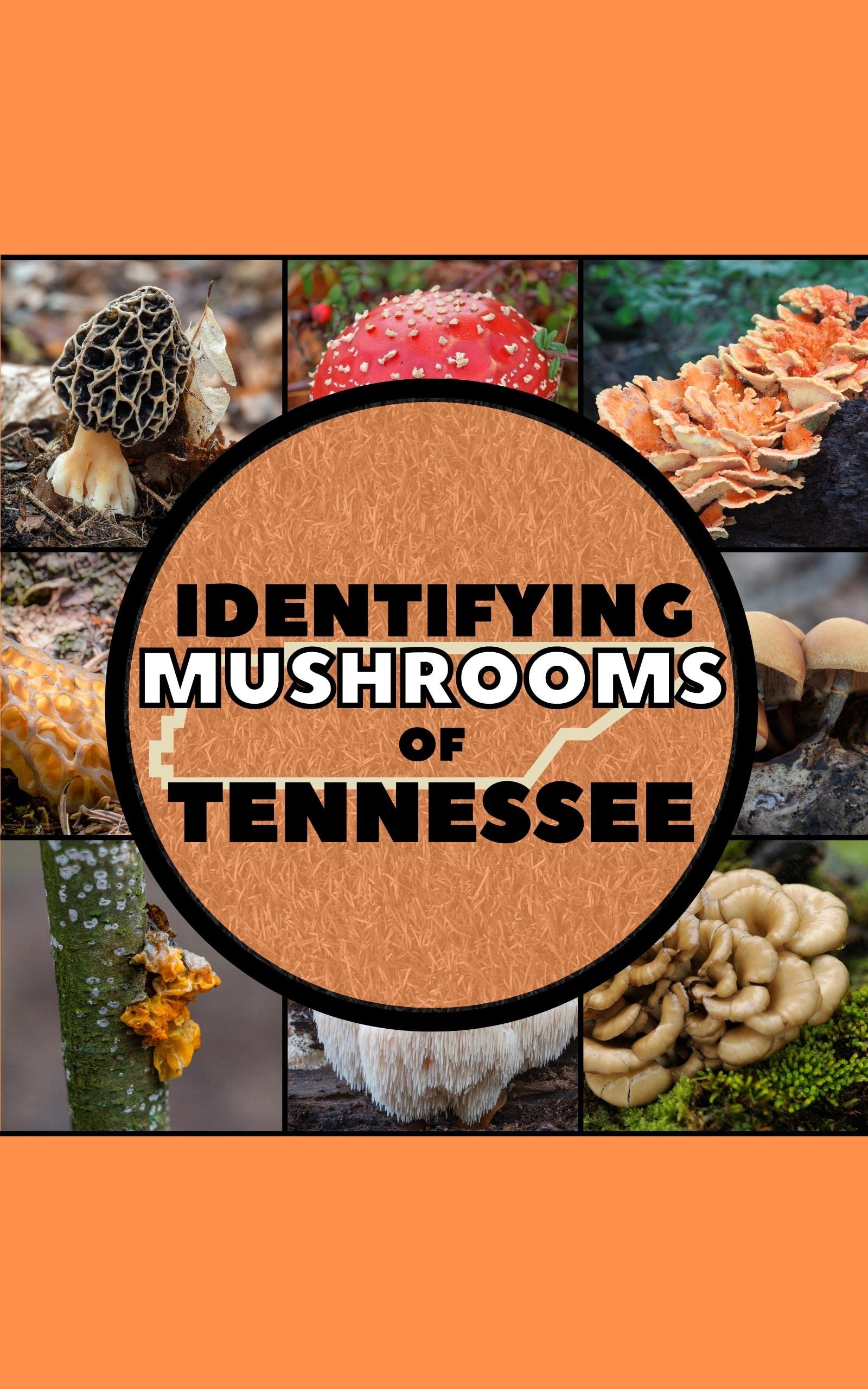 Identifying Mushrooms of Tennessee: A Simple Identification Picture ...