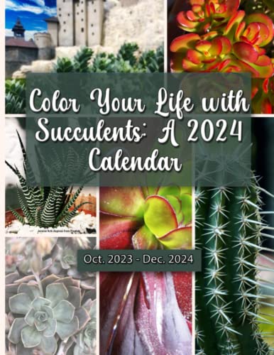 Color Your Life with Succulents: A 2024 Calendar Oct. 2023 - Dec. 2024 ...