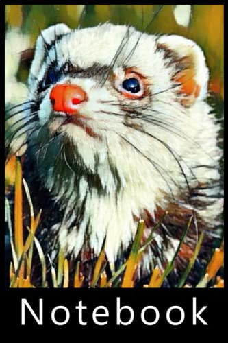 Ferret Notebook: Lined College Ruled Papers 120 Pages 6" X 9" For ...