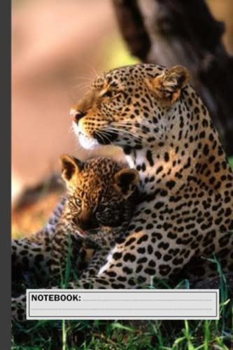 Magical Jaguars Notebook: Unique Jaguar Journal, Notebook for animal ...