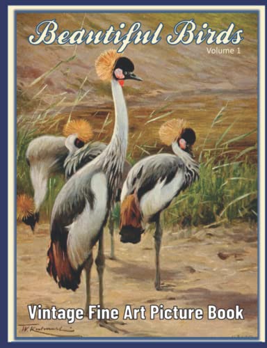 'Beautiful Birds' Vintage Fine Art Picture Book: For Adults and Seniors ...