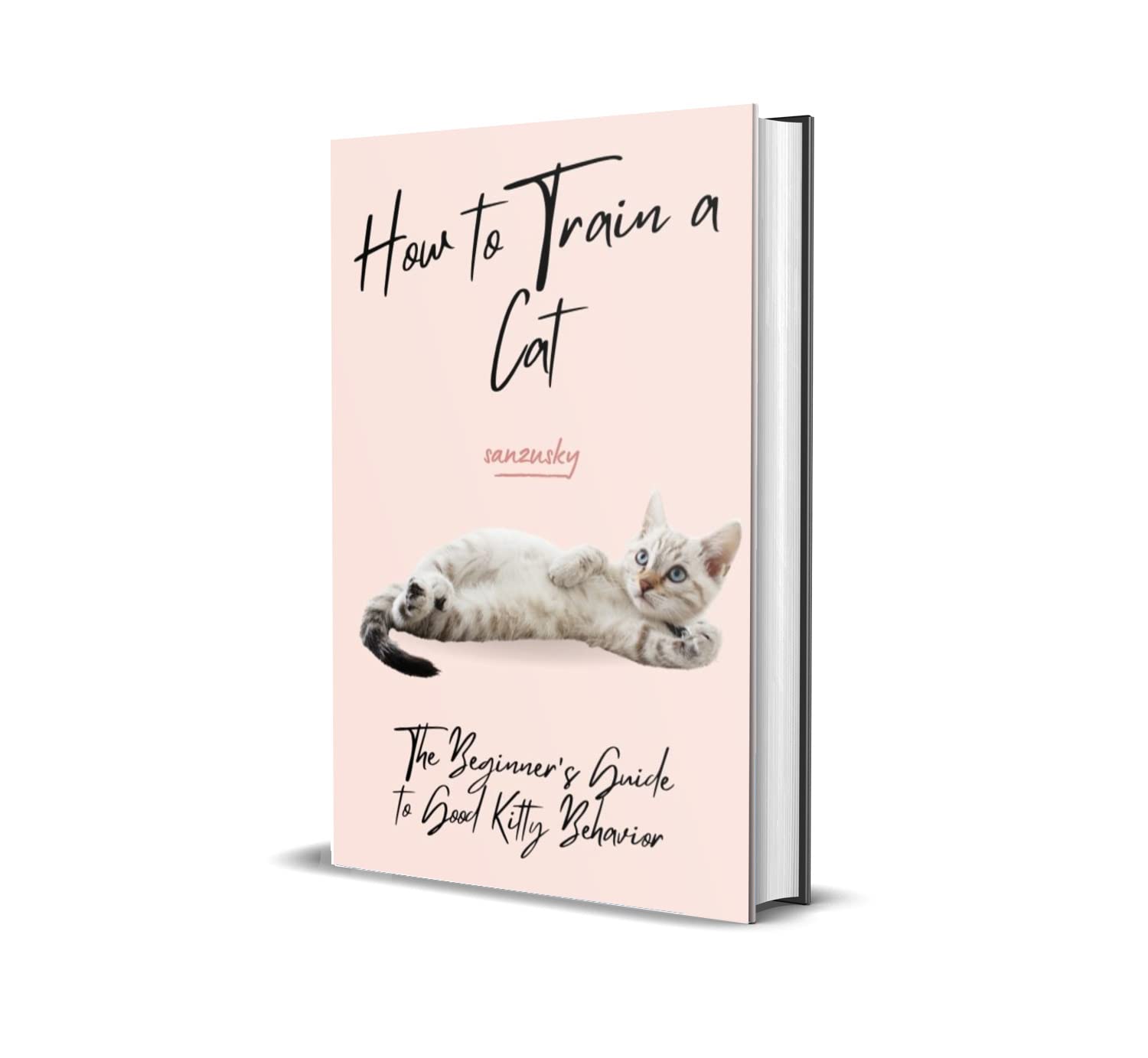 How to Train a Cat: The Beginner’s Guide to Good Kitty Behavior by ...