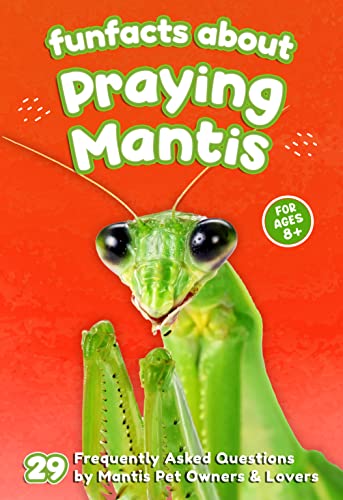 Fun Facts About Praying Mantis: 29 Frequently Asked Questions by Mantis ...