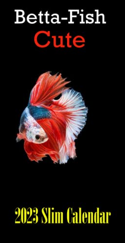 Cute Betta-Fish Slim Calendar 2023 by Fish Calendar 2023 | Goodreads
