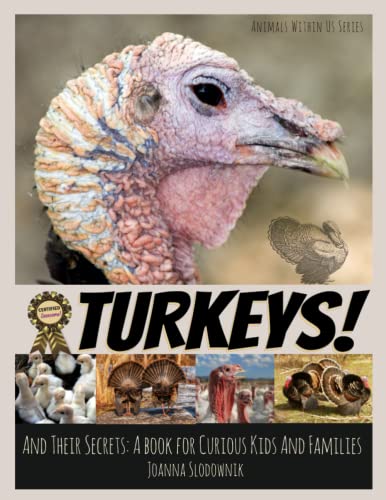 Turkeys! And Their Secrets: A Book for Curious Kids and Families by ...