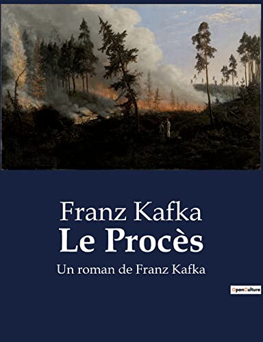 Le Procès: Un roman de Franz Kafka (French Edition) by Franz Kafka ...