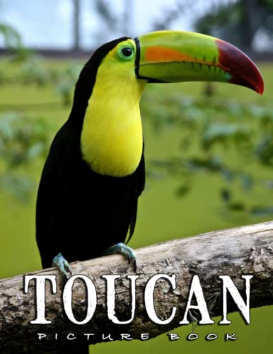 The Picture Book Of Toucan: An Album Consist Of Compelling Photos ...