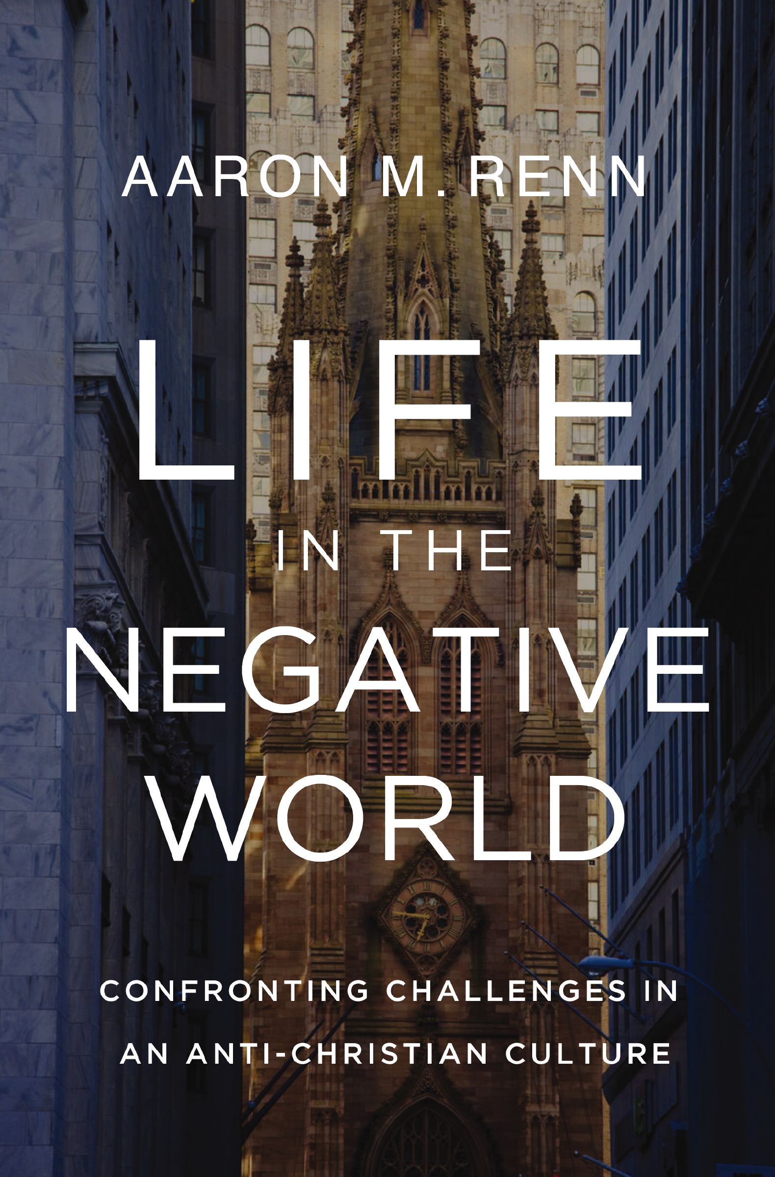 Life in the Negative World: Confronting Challenges in an Anti-Christian ...