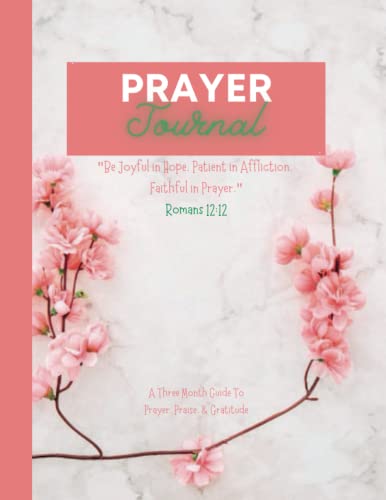 8.5x11 Prayer Journal, a Three Month guide to Prayer, Praise and ...