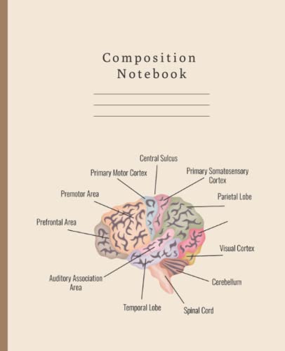 Anatomy Composition Notebook: Human Brain Composition Notebook College ...