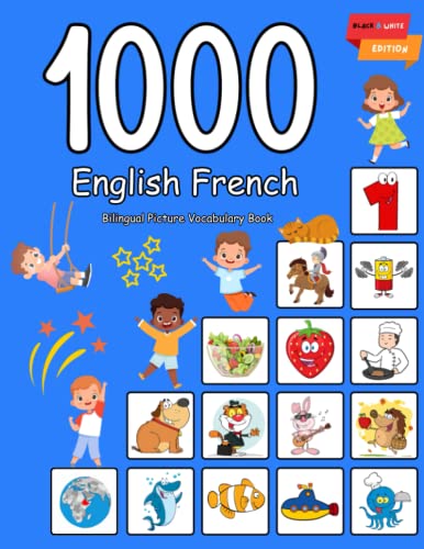 1000 English French Bilingual Picture Vocabulary Book: My first hundred ...