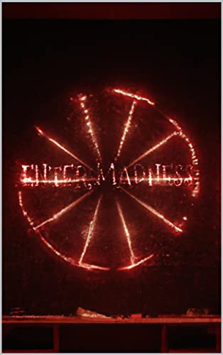 ENTER MADNESS by Michael John Bertolini | Goodreads